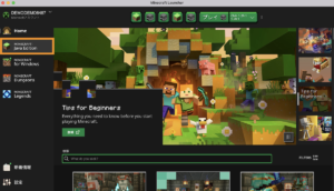 LOLIPOP for Gamersマイクラサーバーの立て方・構築方法 - GameServer8 ゲームサーバーエイト